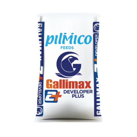 Gallimax 2+ Developer Plus - Optimal Growth for Gamefowl | Salto