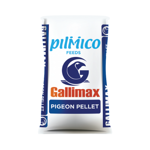 Gallimax - Premium Feeds for Gamefowl | Salto