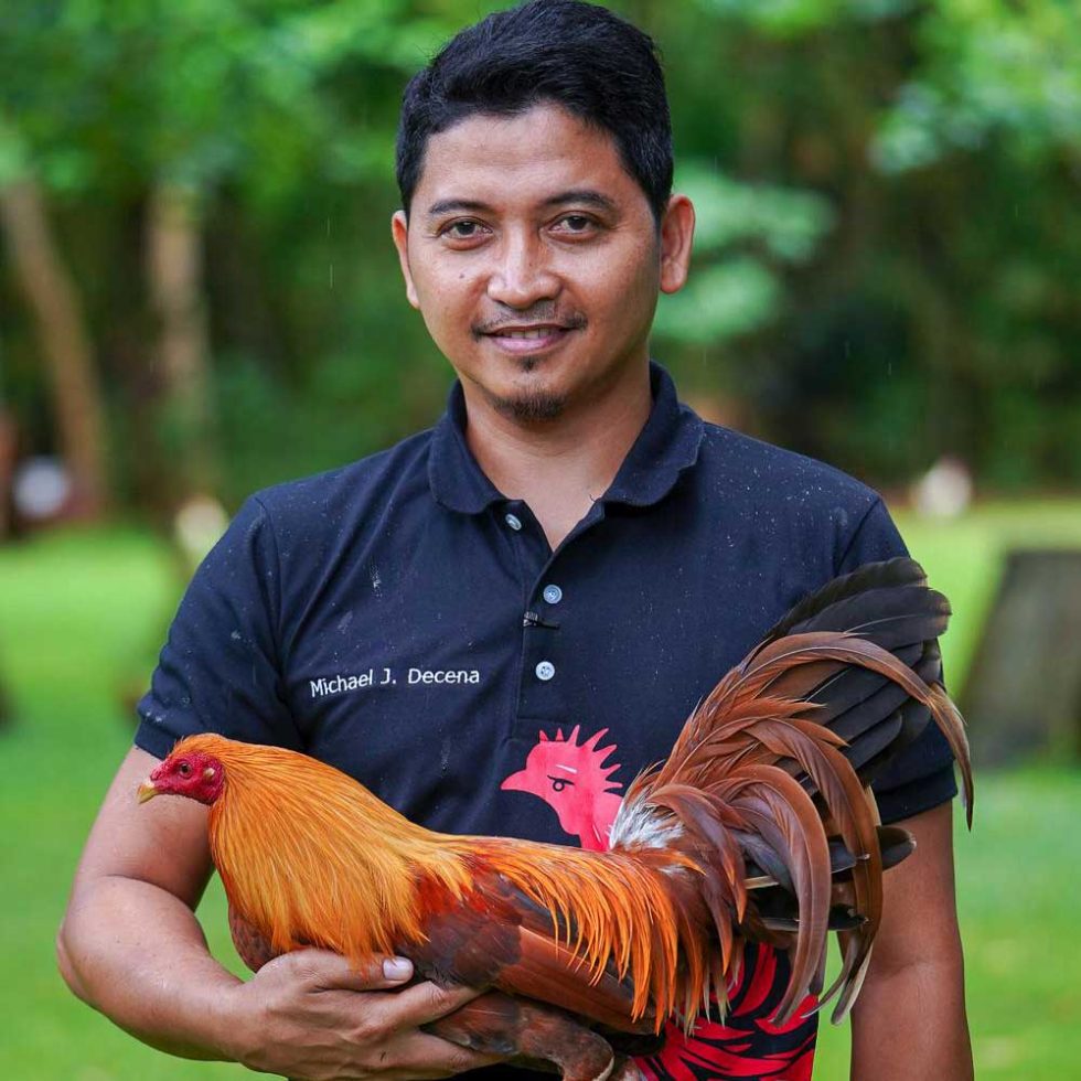 Michael Decena - Salto