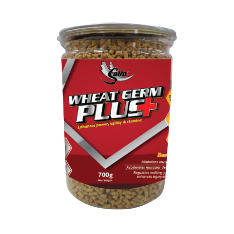 Salto Products - Maintenance Feeds for Gamefowl | Salto