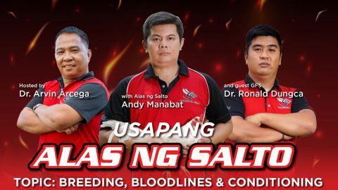 Usapang Alas ng Salto: Andy Manabat - Salto