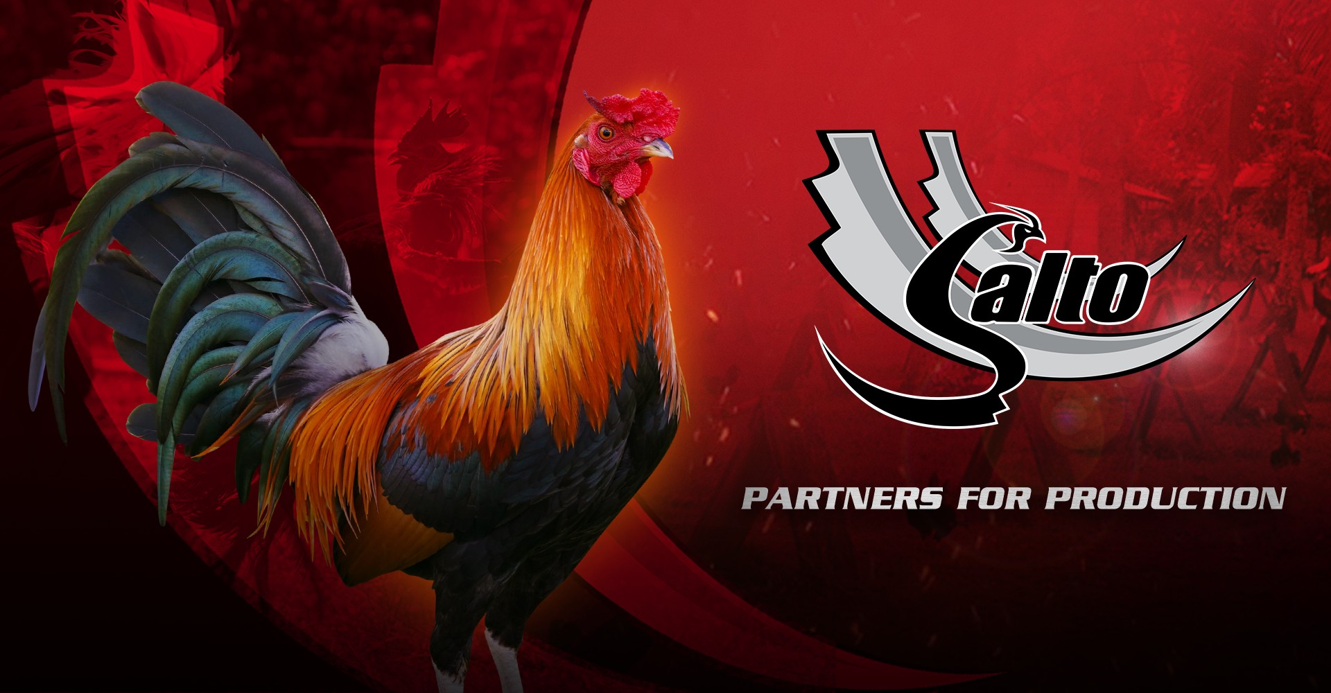 Salto Gamefowl Feeds Philippines - Tindig, Ka-Salto!