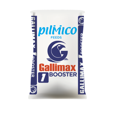 Gallimax 1 Booster - Chick Growth Formula | Salto
