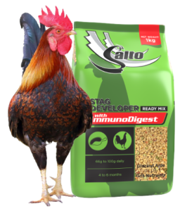 Salto Gamefowl Feeds Philippines - Tindig, Ka-Salto!